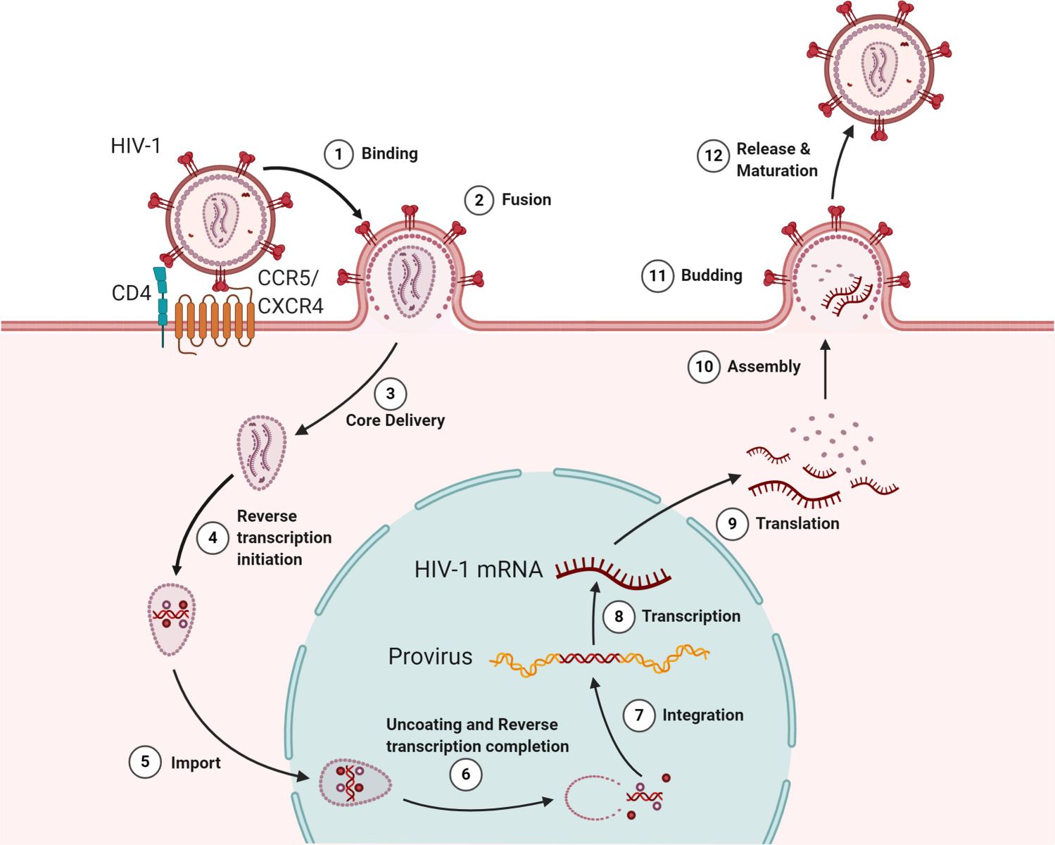 Exatype: HIV (Proviral DNA - Targeted) - FAQs | Exatype